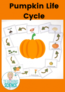Life cycle of a pumpkin science unit