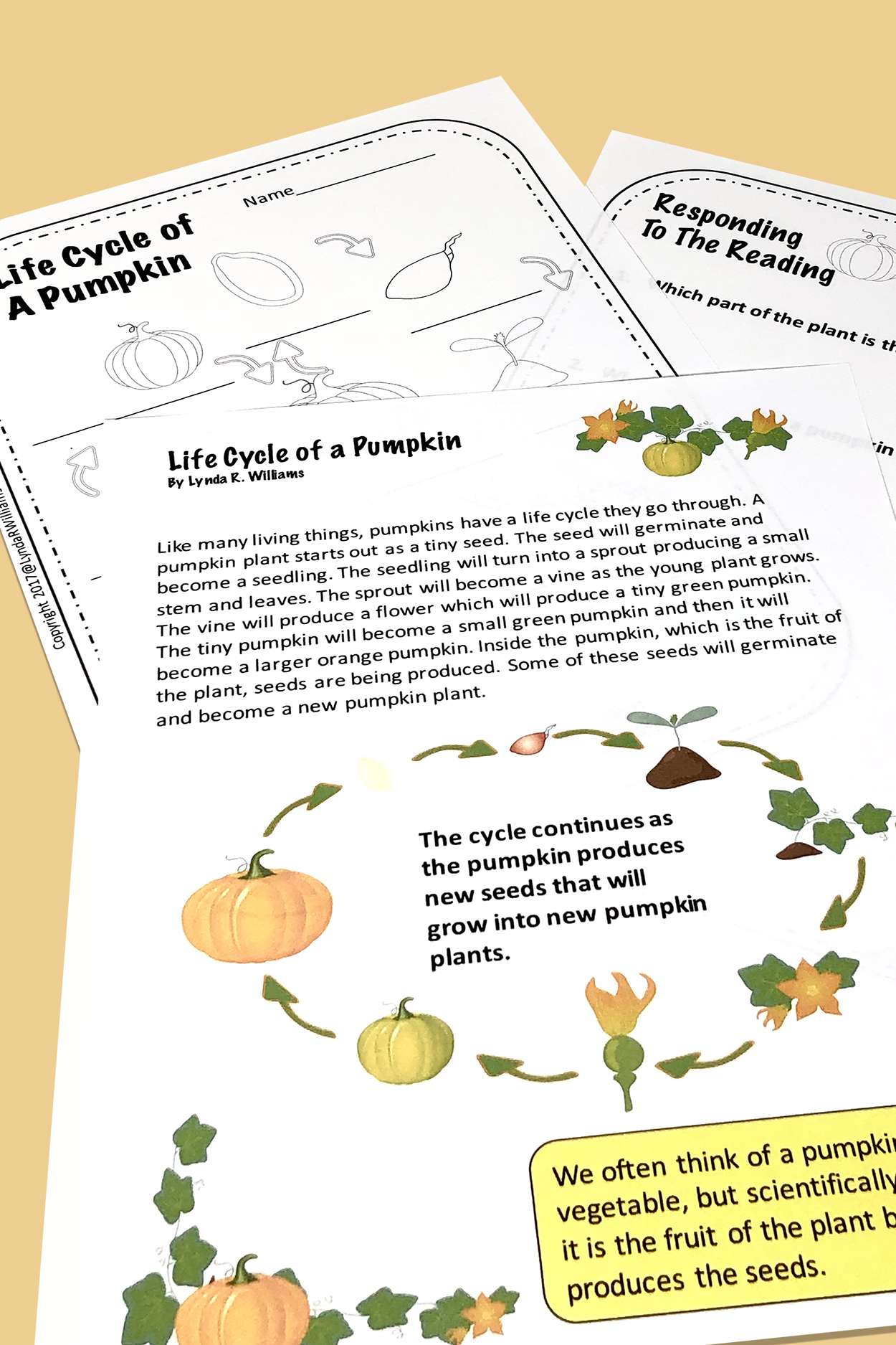 Life cycle of a pumpkin science unit