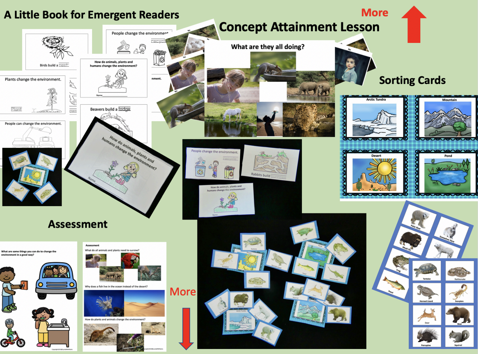 Living Things and What They Need - Kindergarten Unit