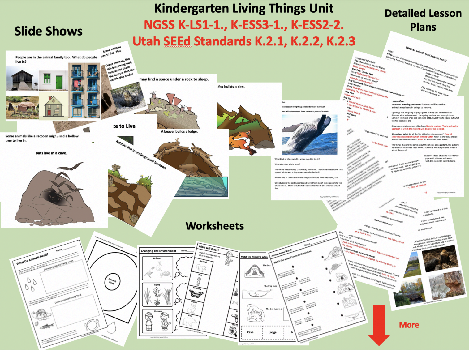 Living Things and What They Need - Kindergarten Unit