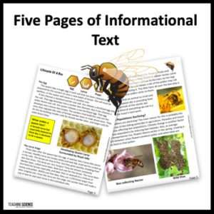 Reading Unit on Honey Bees - Informational Text Passages