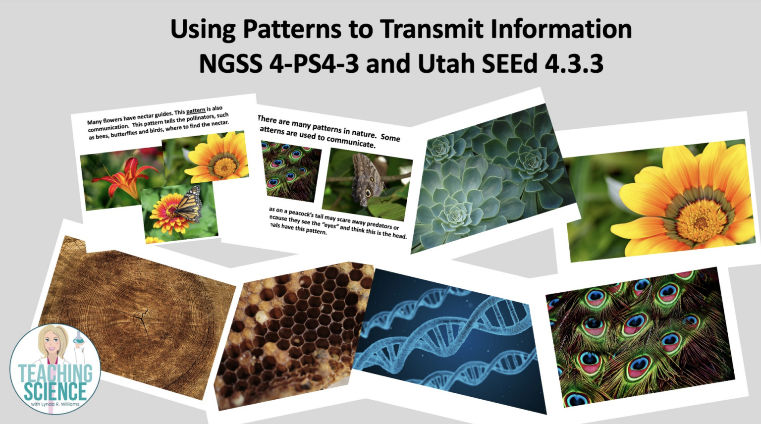 Using Patterns to Transmit Information NGSS