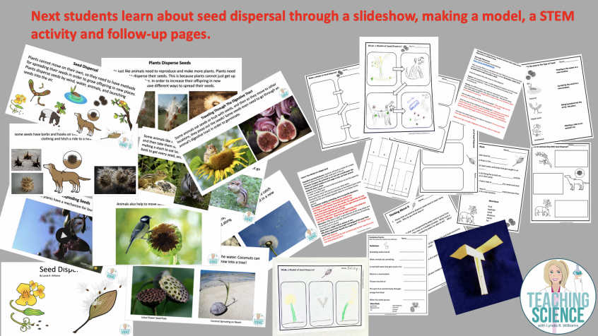 Seed Dispersal and Pollination Unit for Second Grade