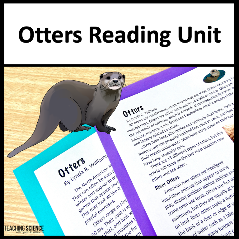 Informational Text Passages on Otters-Reading Comprehension