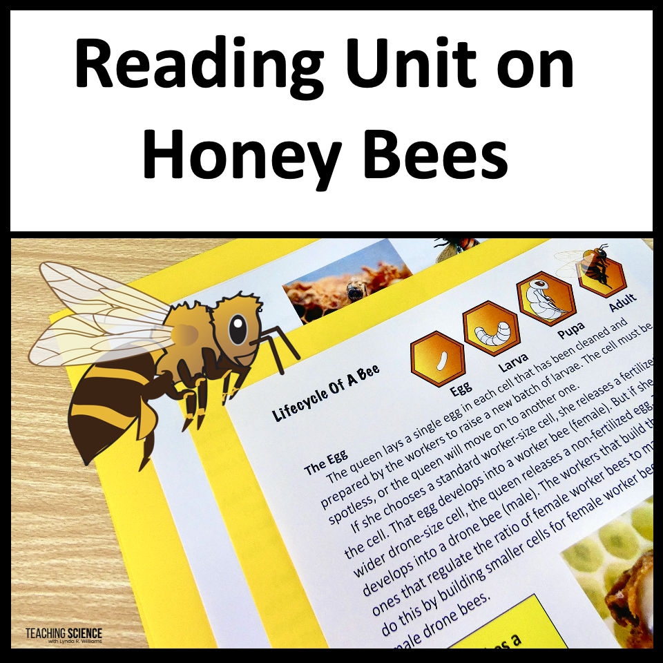 Reading Unit on Honey Bees - Informational Text Passages