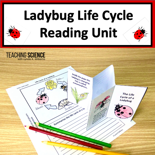 Ladybug Reading Passages and Comprehension Questions