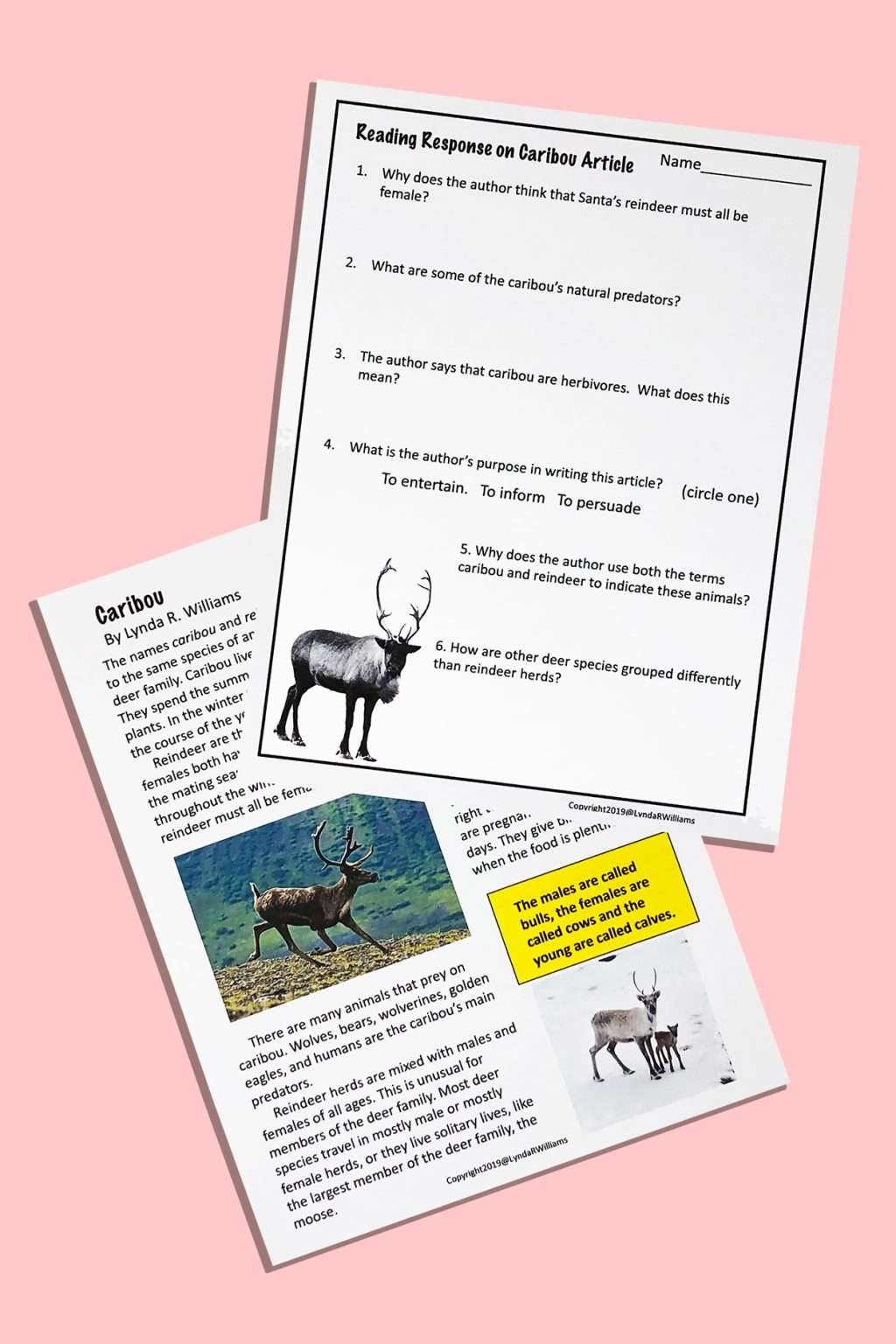 Reindeer Informational Text Reading Unit
