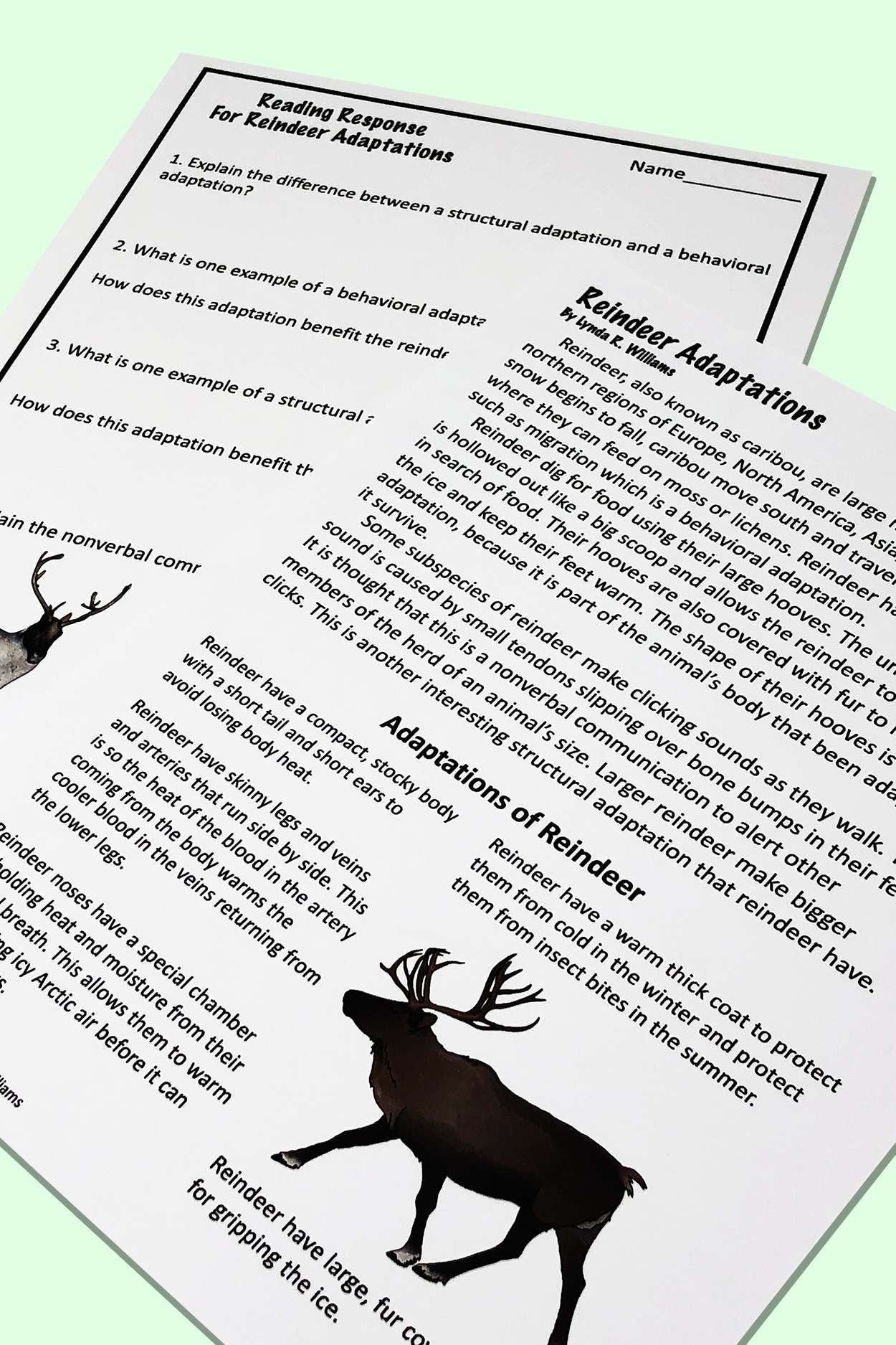 Reindeer Informational Text Reading Unit