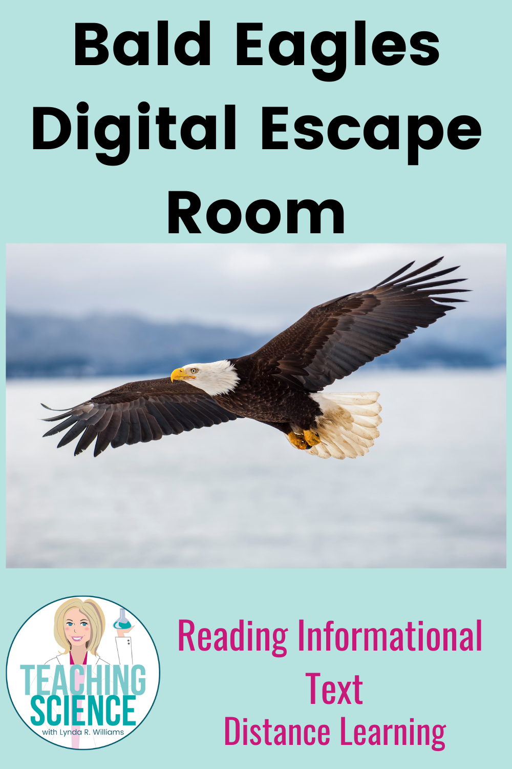 Digital Escape Room on Bald Eagles for Distance Learning