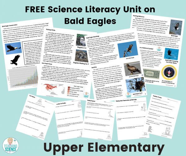 FREE Reading Unit on Eagles