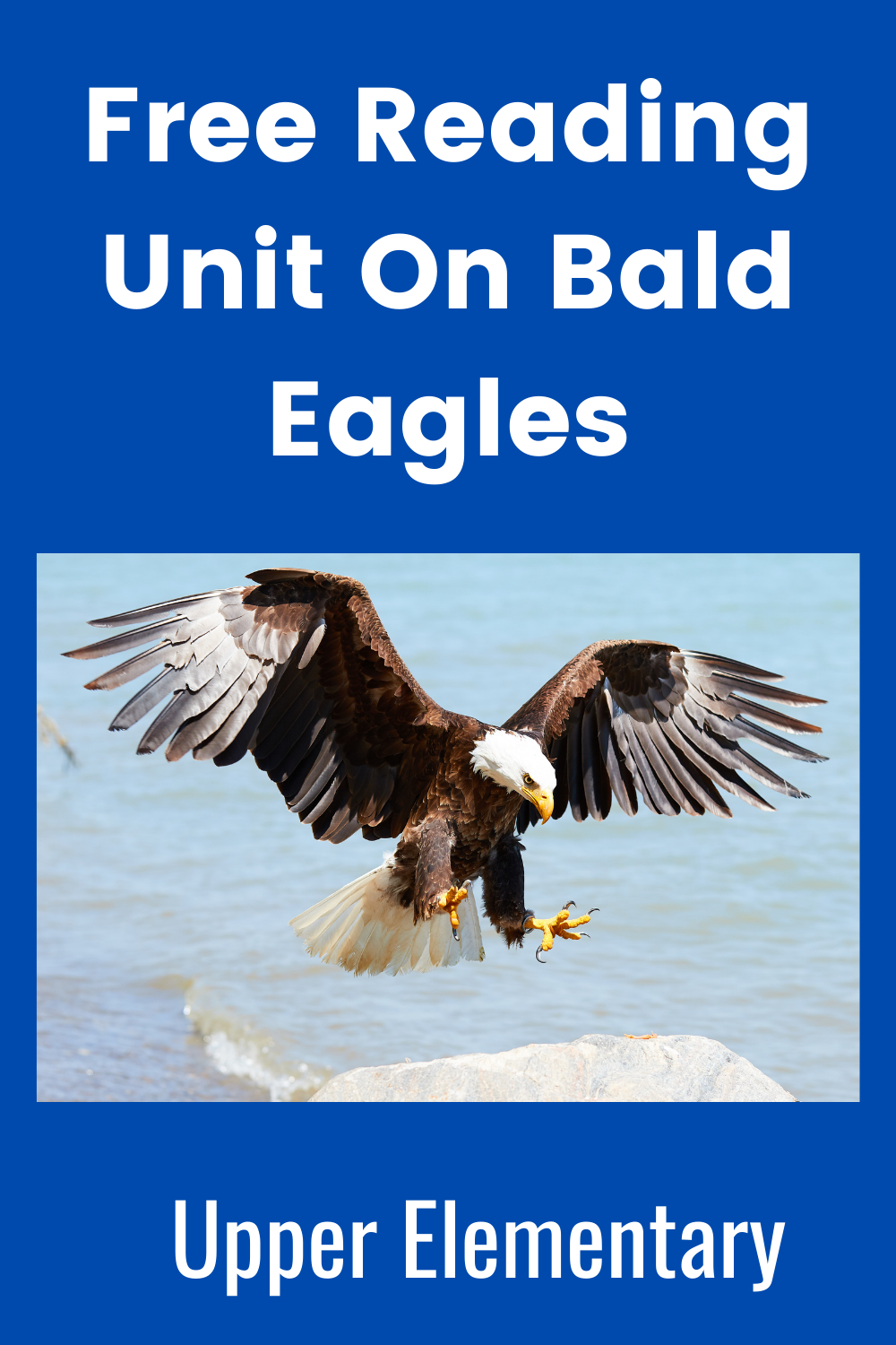 FREE Reading Unit on Eagles