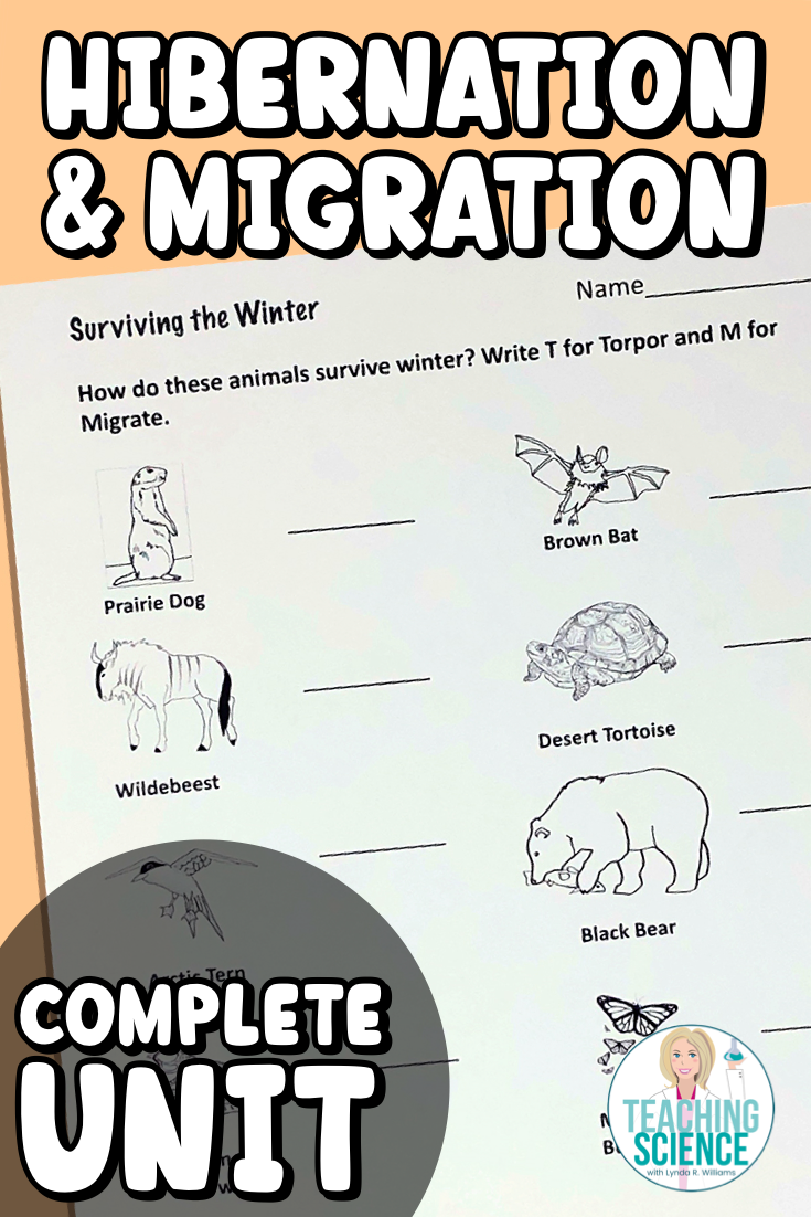 Hibernation and Migration