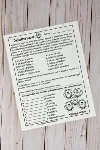 Why do Animals live in groups?