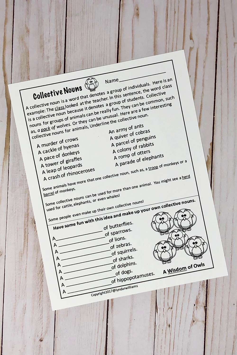 Why do Animals live in groups?