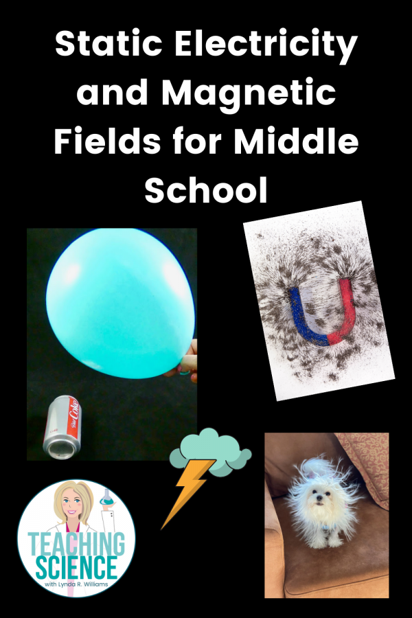 Static Electric and Magnetic Fields Middle School - Teaching Science ...