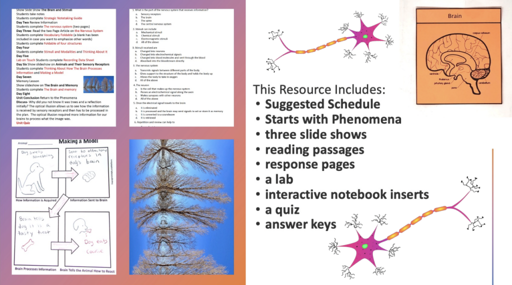 Sensory Receptors and The Nervous System