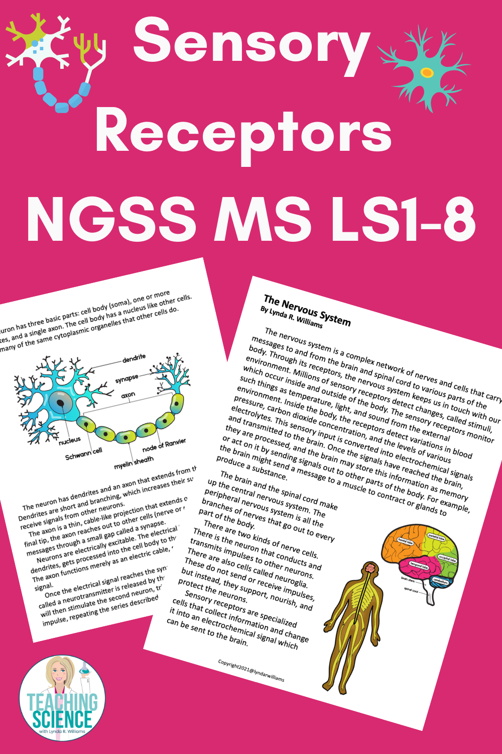 Sensory Receptors and the Nervous System