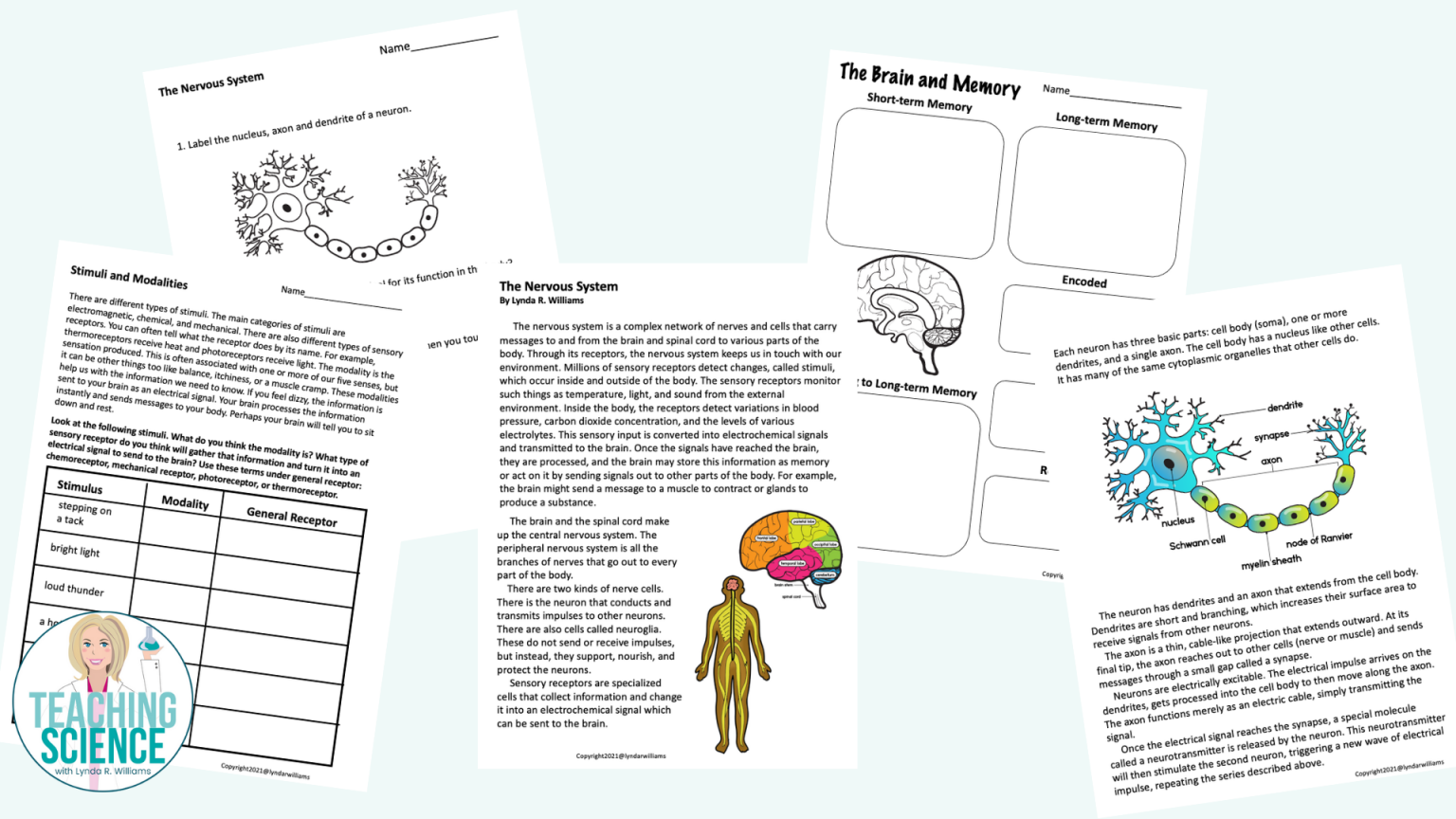 Sensory Receptors and the Nervous System