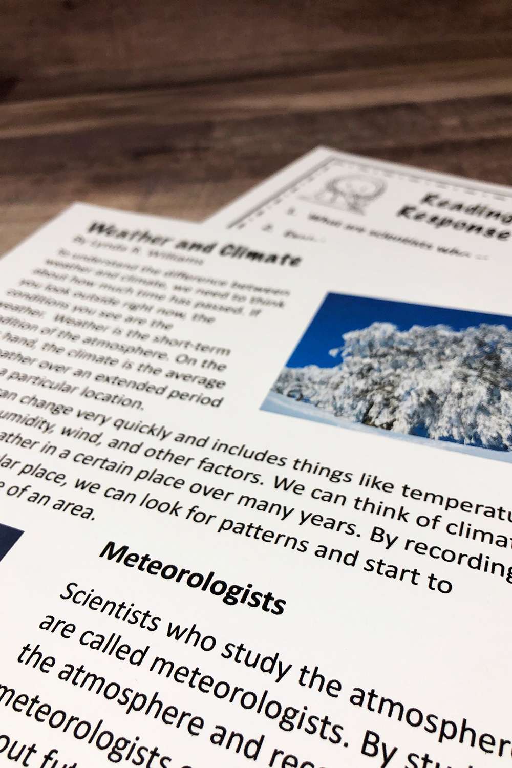 Weather and Climate for Third Grade