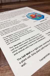 Cells-Structure-and-Function