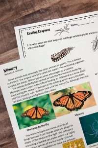 Ecosystem Interactions Between Organisms