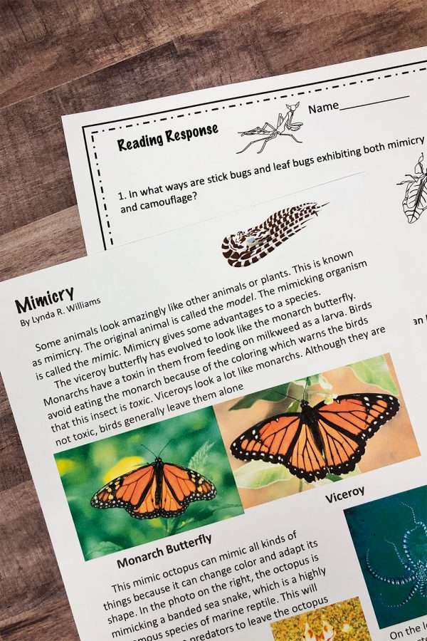 Ecosystem Interactions Between Organisms