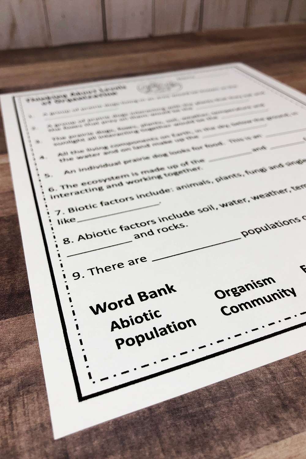 Ecosystem Interactions Between Organisms