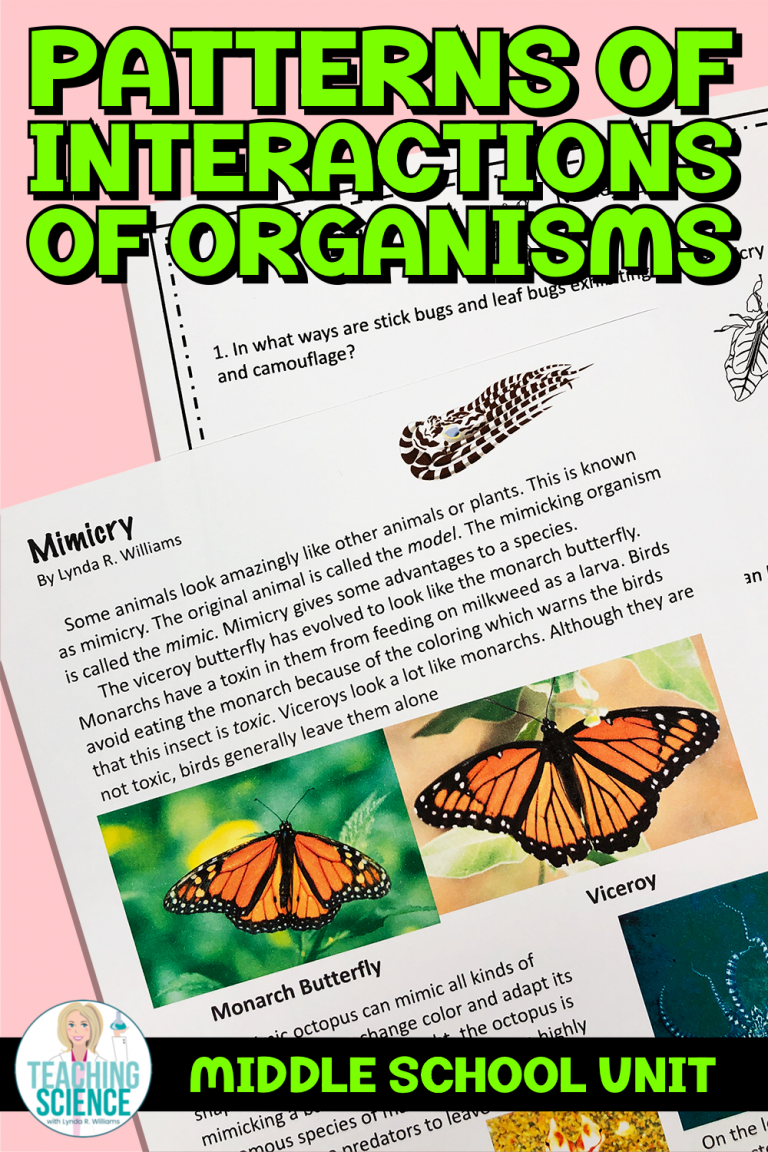 Ecosystem Interactions Between Organisms