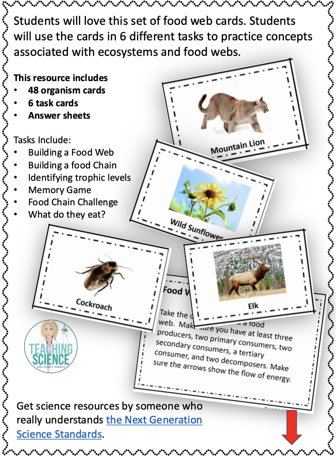 Ecosystem and Food Chain Sorting Cards