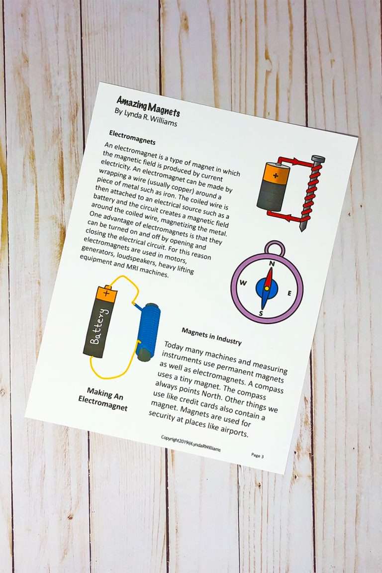 Static Electricity and Magnetic Fields - Middle School Science Unit ...