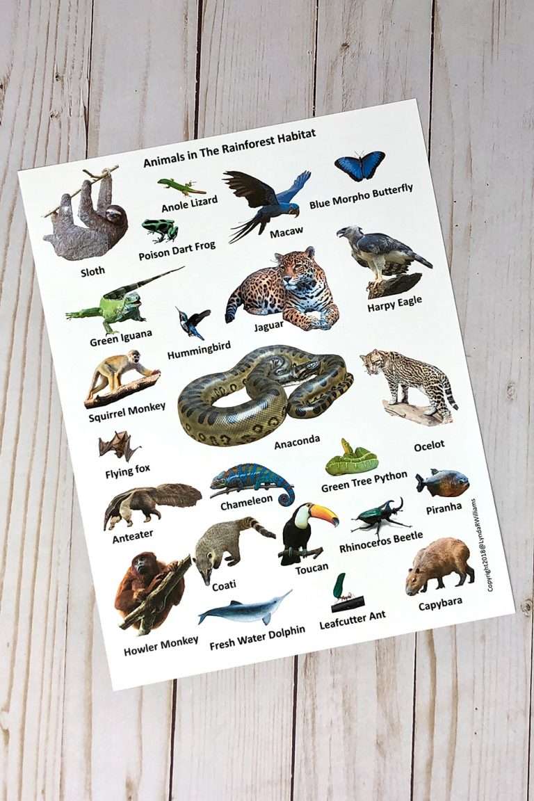 Diversity of Life in Different Habitats