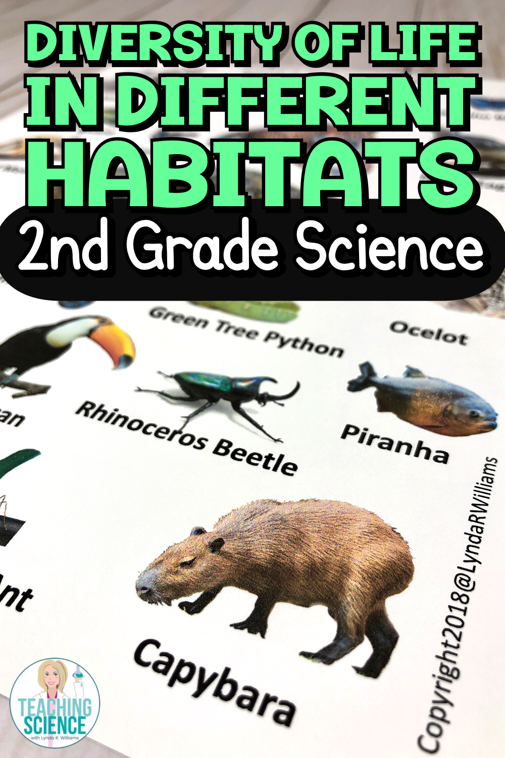 Diversity of Life in Different Habitats