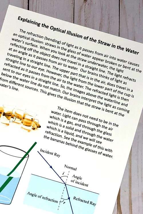 Waves: Transmission, Absorption, and Reflection Middle School Science ...