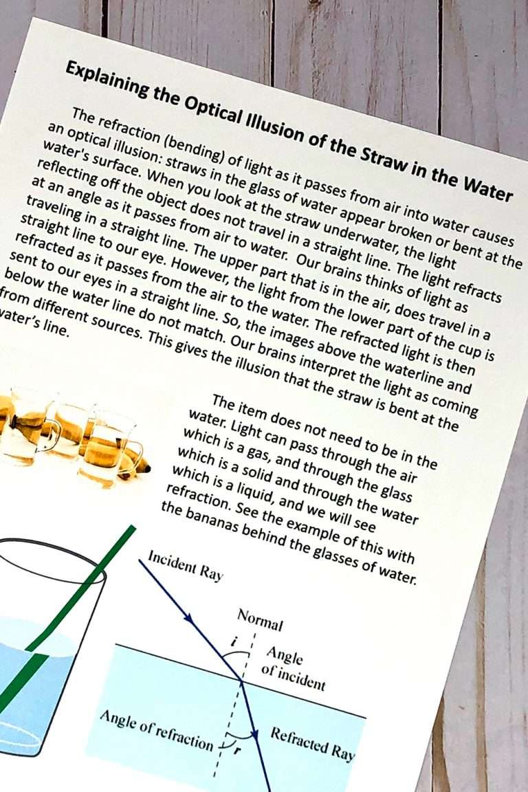 Waves: Transmission, Absorption, and Reflection Middle School Science ...