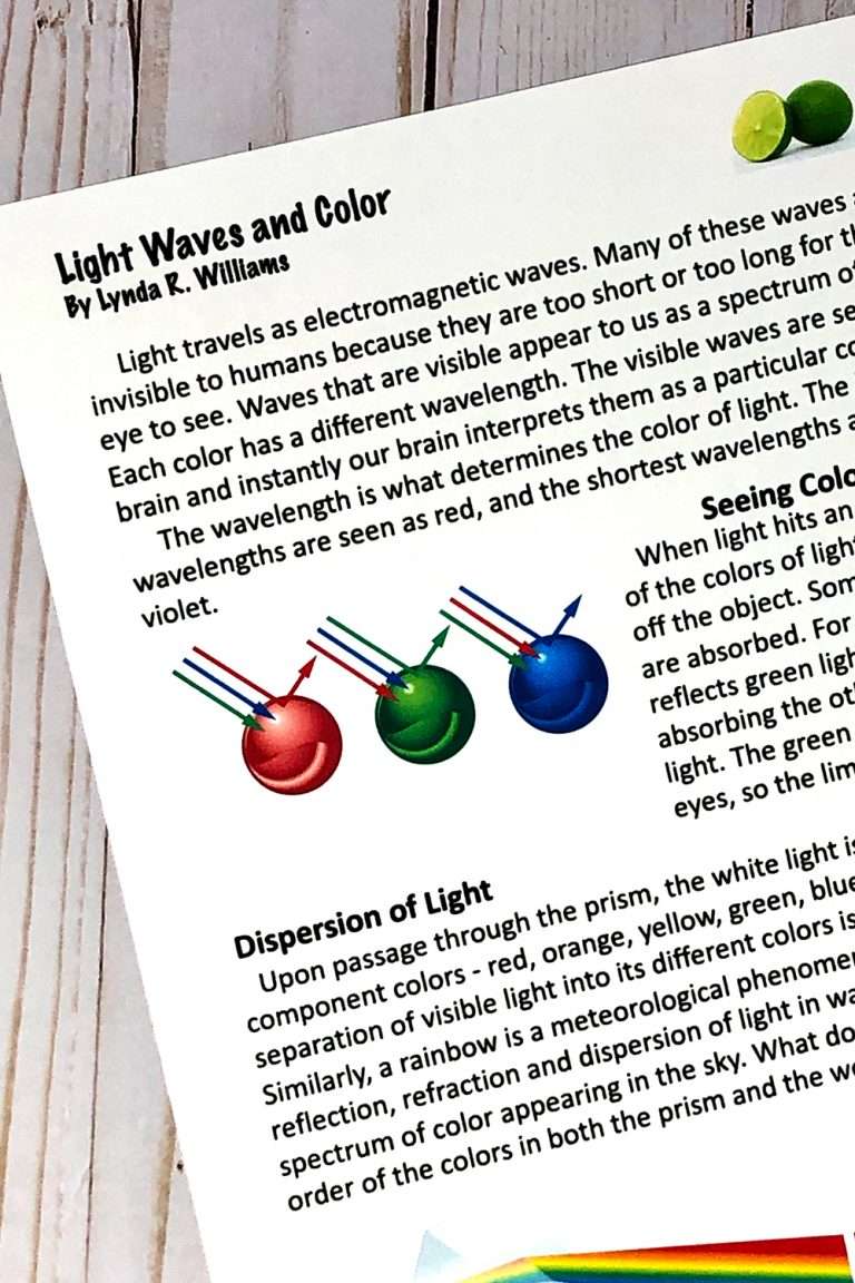 Waves: Transmission, Absorption, and Reflection Middle School Science ...