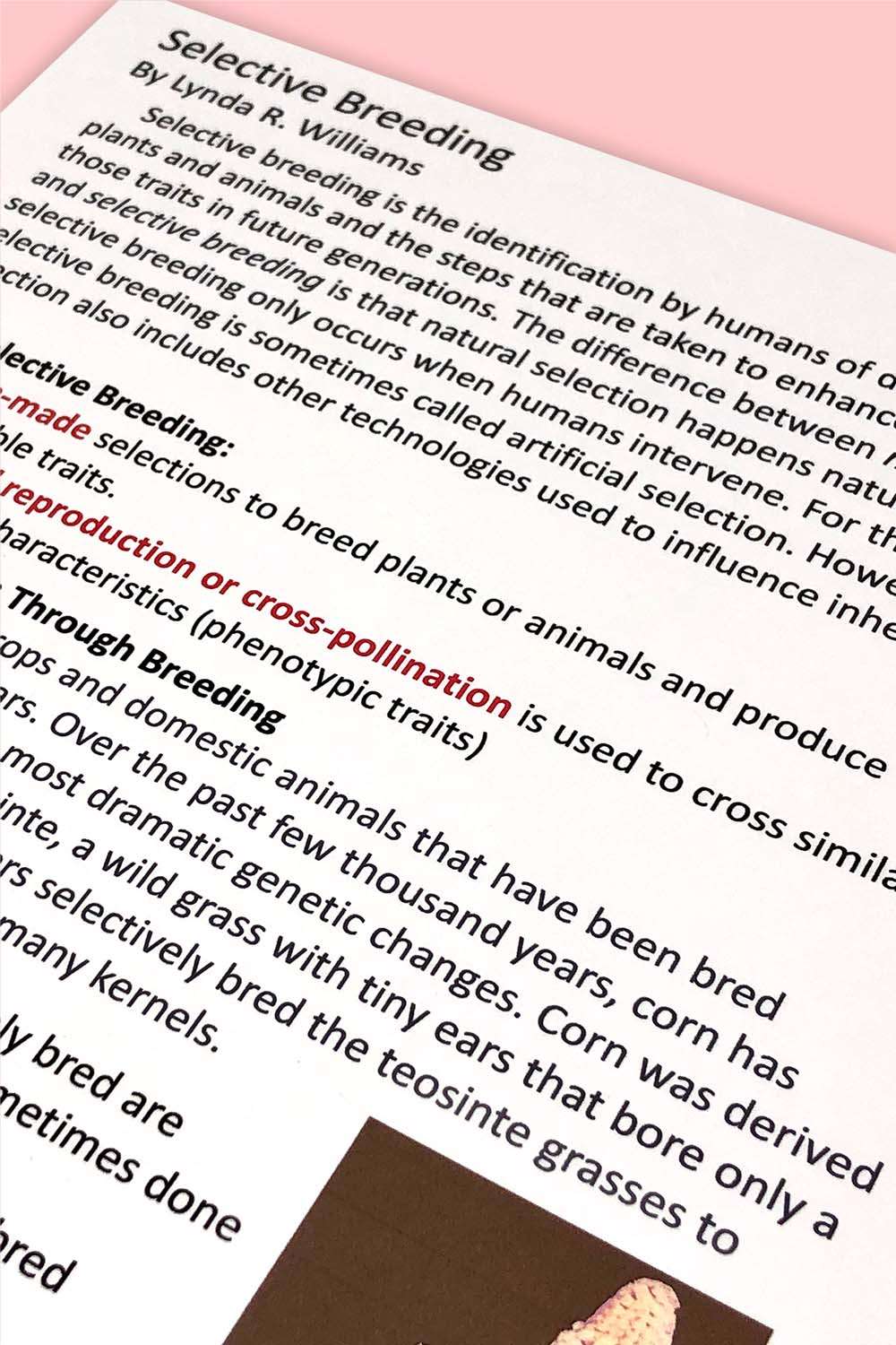 Selective Breeding and Artificial Selection for Middle School Science