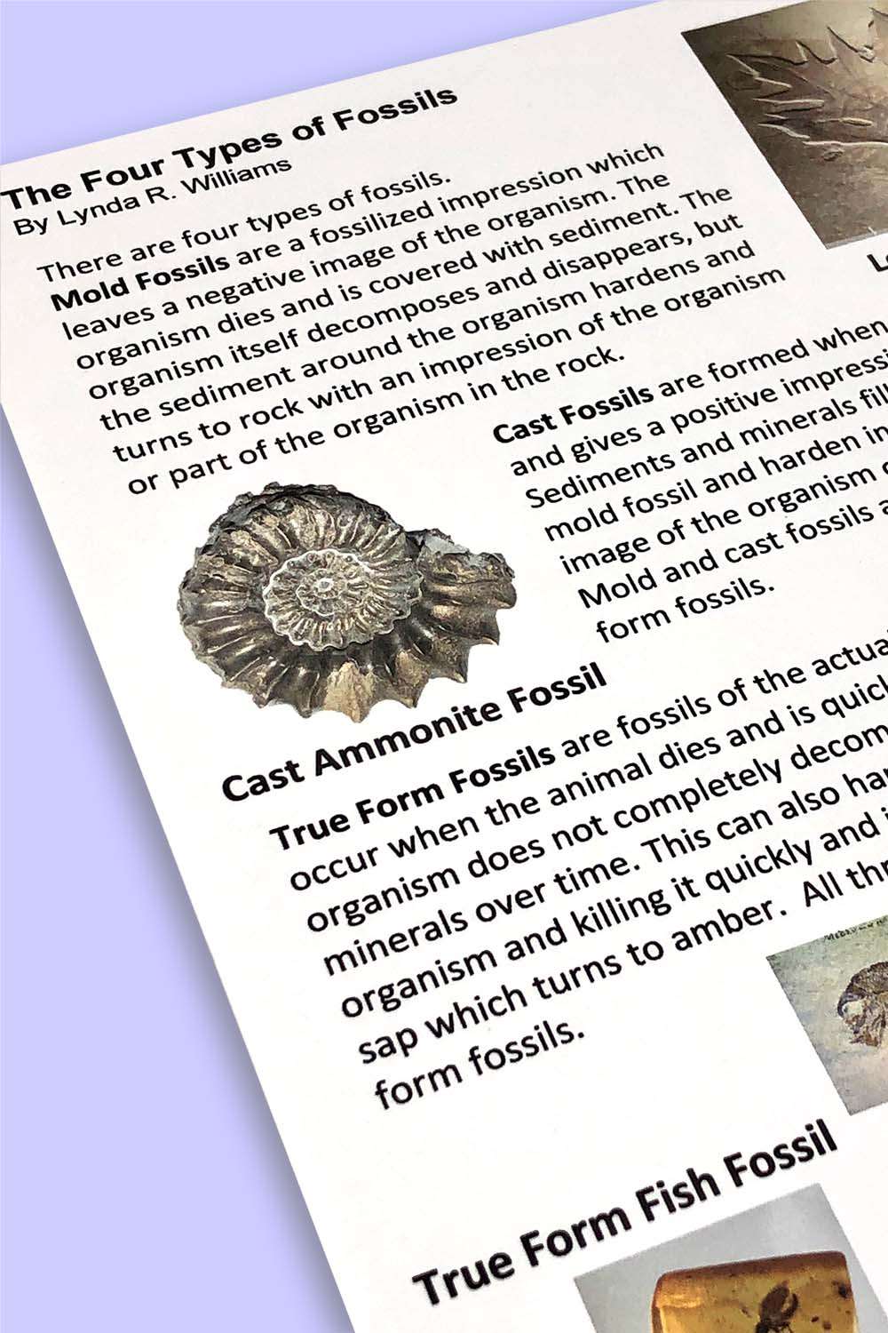 The Fossil Record Middle School Science Unit for Standard NGSS MS-LS4-1 ...