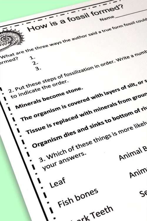 The Fossil Record Middle School Science Unit for Standard NGSS MS-LS4-1 ...