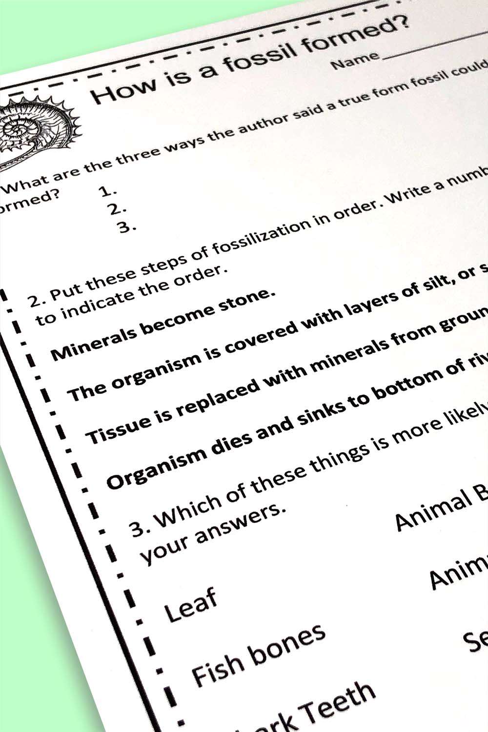 The Fossil Record Middle School Science Unit for Standard NGSS MS-LS4-1 ...