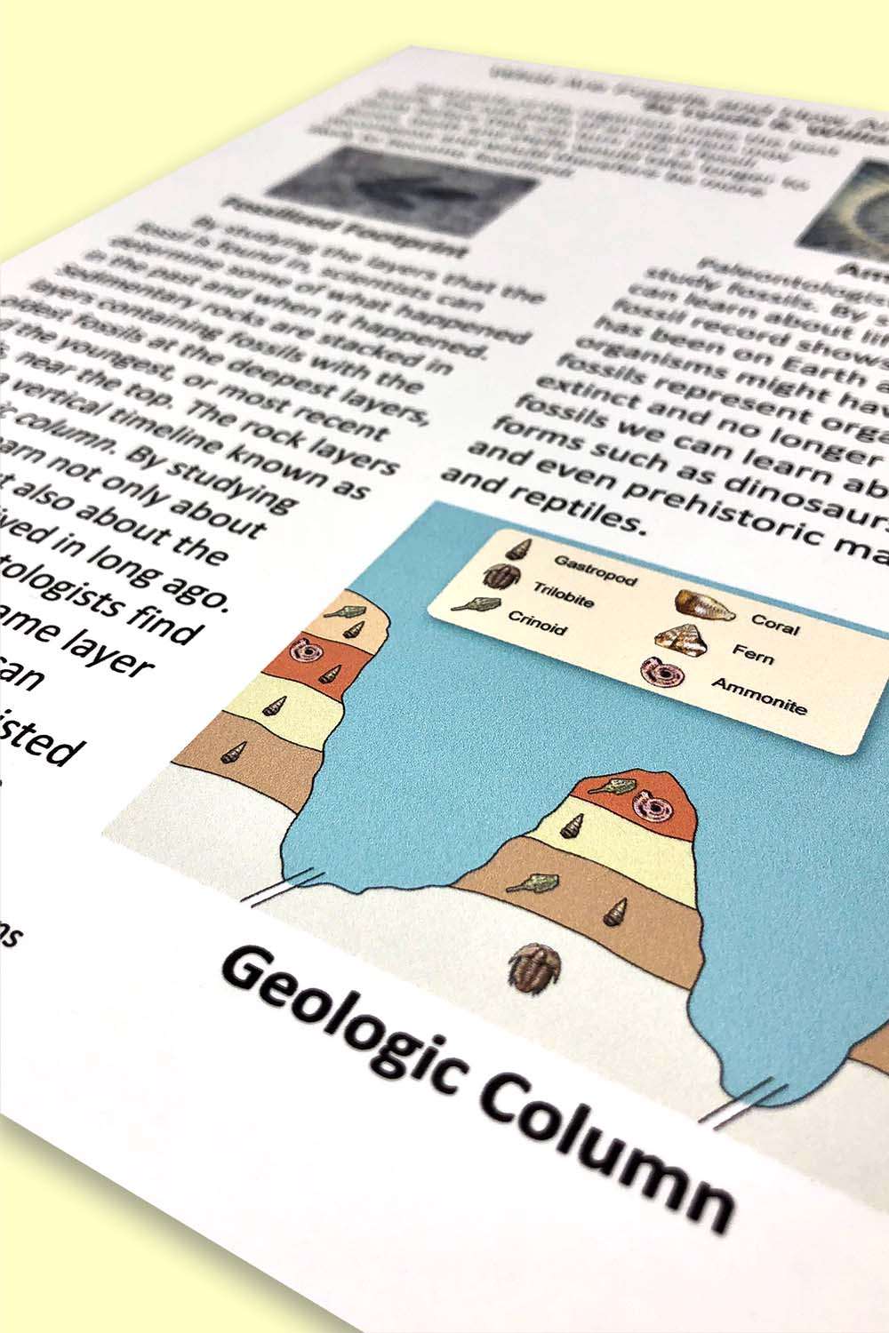 The Fossil Record Middle School Science Unit for Standard NGSS MS-LS4-1 ...