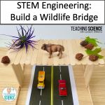 STEM Challenge Build a Wildlife Bridge
