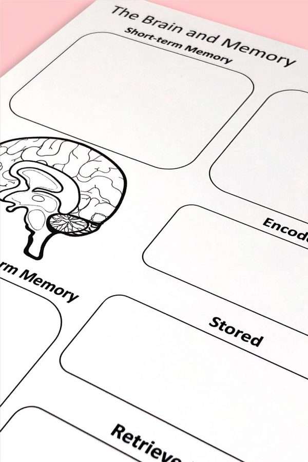 Sensory Receptors and the Nervous System