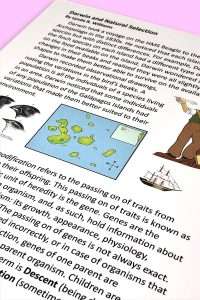 Natural Selection Middle School Science