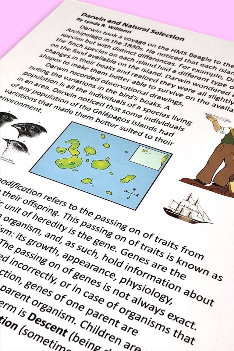 Natural Selection Middle School Science