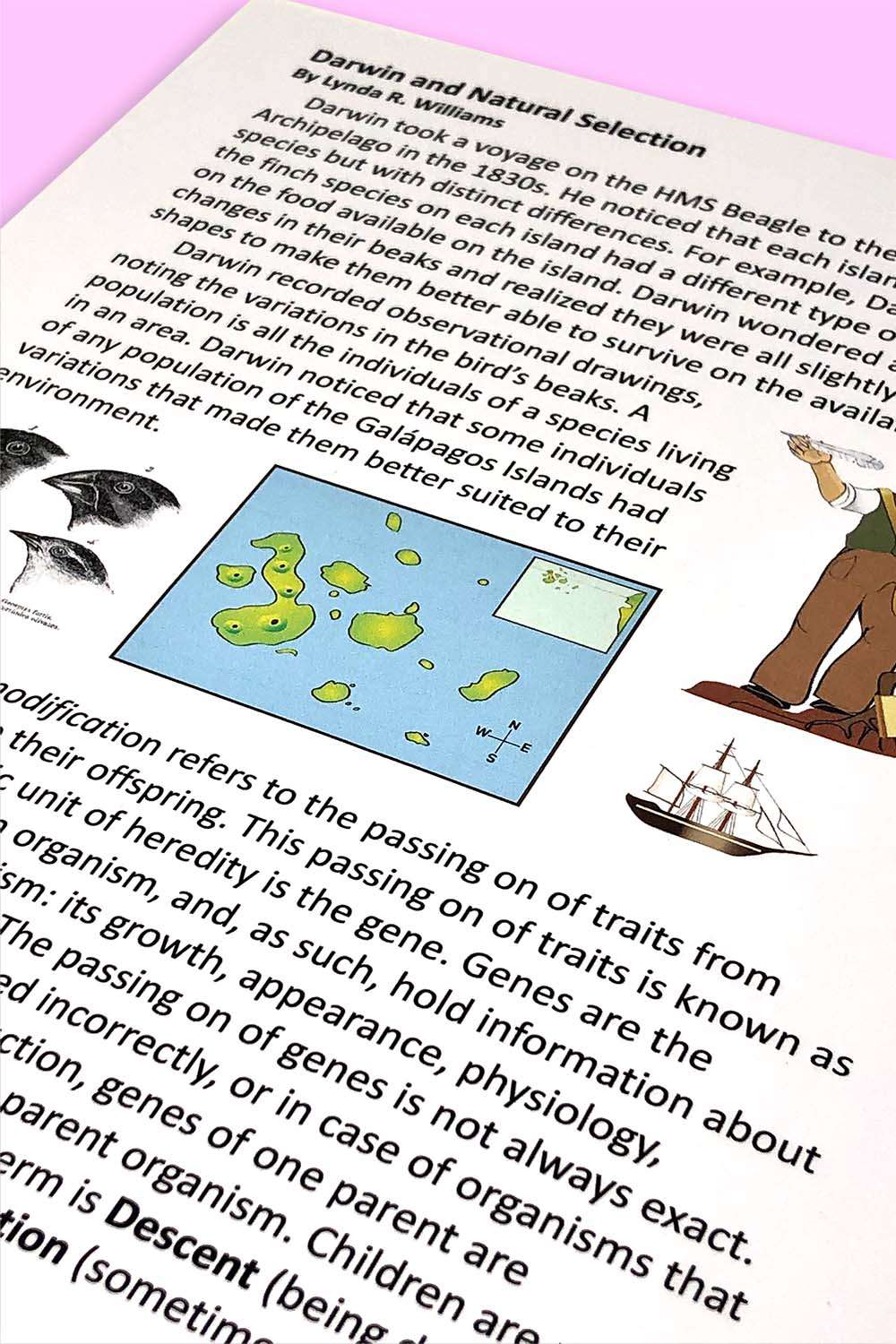 Natural Selection Middle School Science