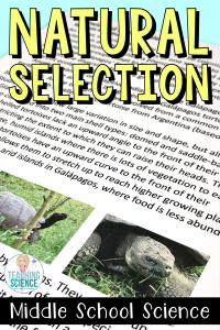 Natural Selection Middle School Science