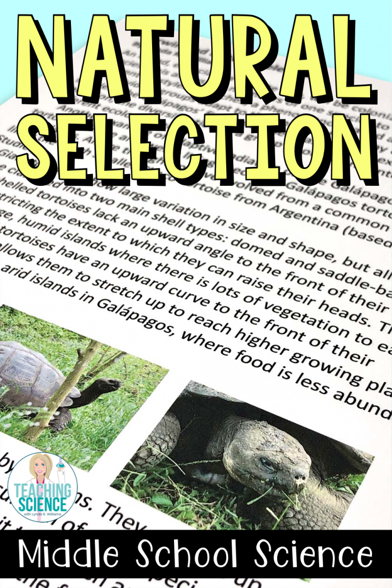 Natural Selection Middle School Science