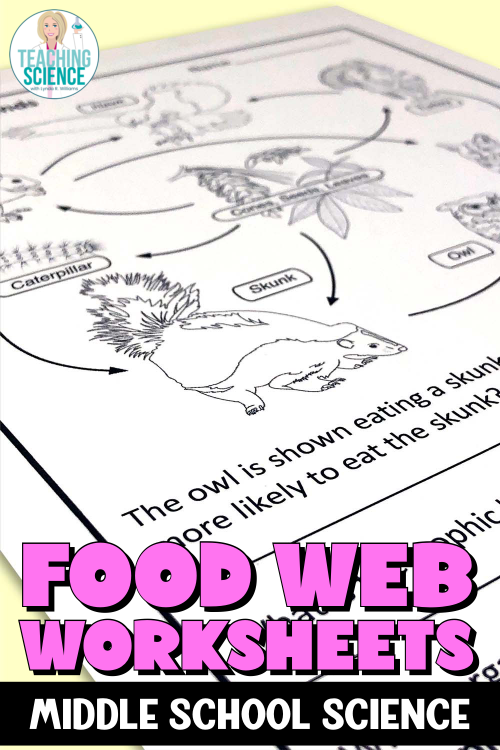 Food Web Worksheets