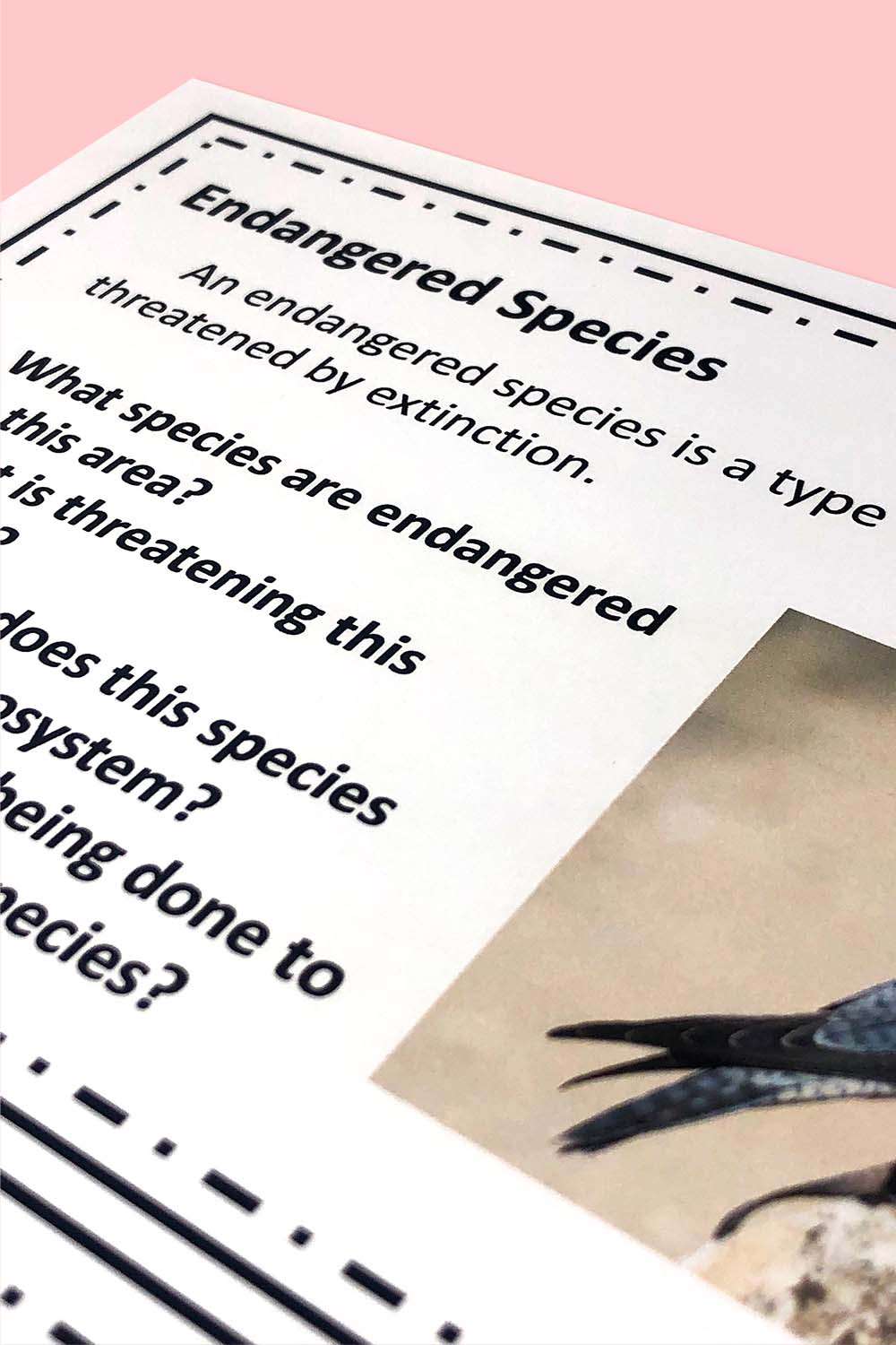 Ecological Problem Research Project for Middle School Science Standard ...