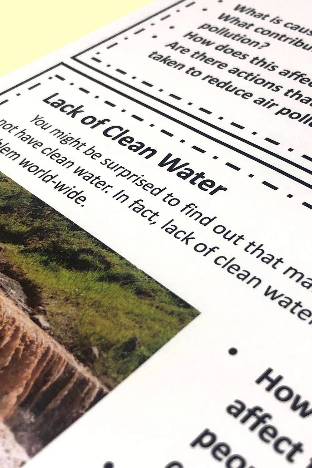 Ecological Problem Research Project for Middle School Science Standard ...